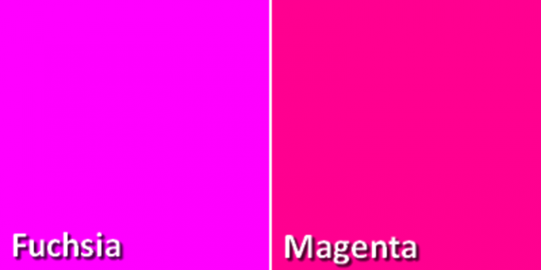 Fuchsia: Psychology, Meaning & Color Code (HEX, RGB, CMYK)