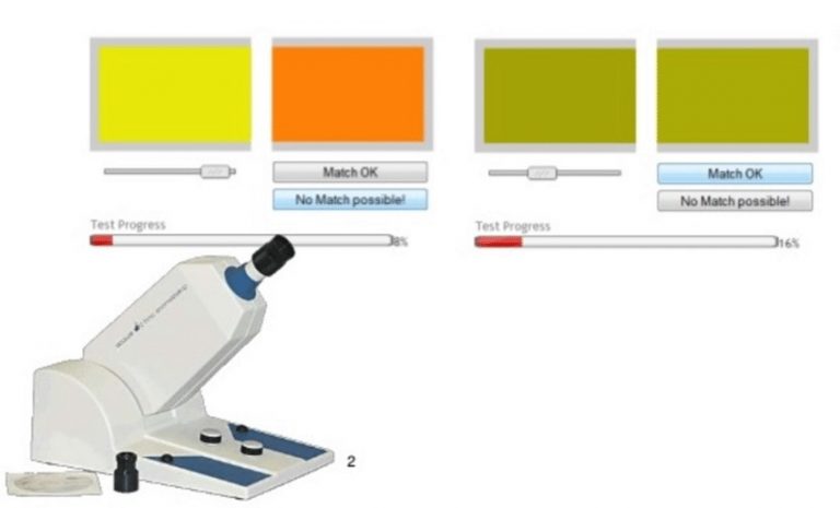 Understanding Color Blindness – Types and Perception
