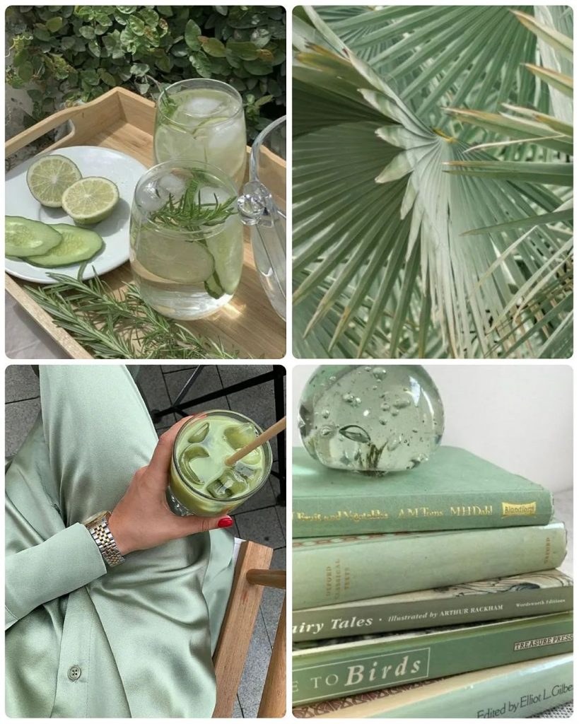 Sage Green: Decoration, Paint, Meaning, HEX, RBG