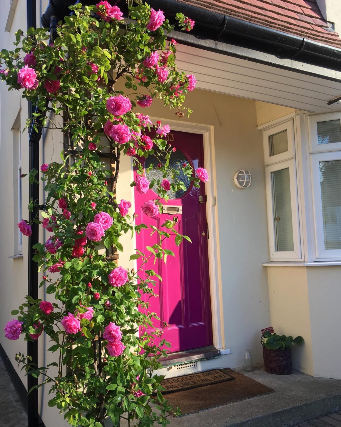 Shocking Front Door Color Ideas to Transform Your Curb Appeal