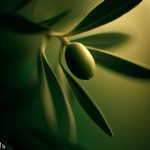 Olive Green Color - Color Psychology