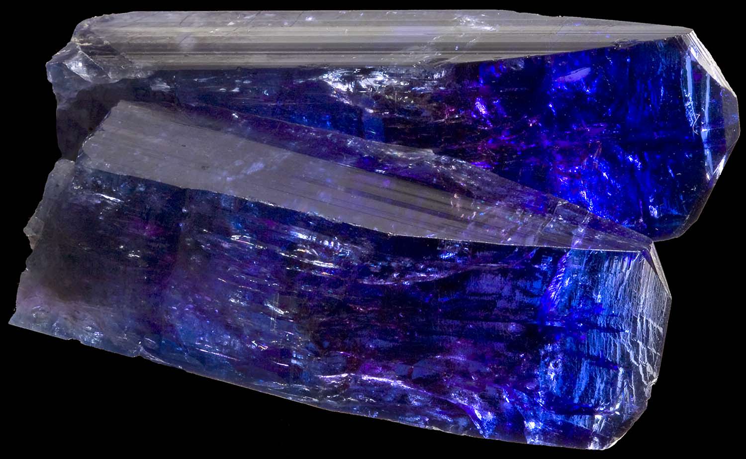 50 Beautiful Blue Things in Nature | ColorPsychology