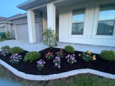 10 Shocking Flower Bed Ideas to Transform Your Garden