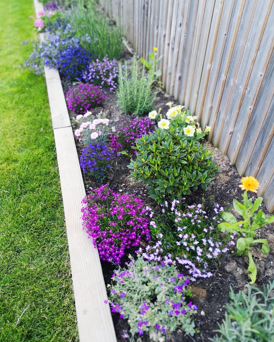 Creative Flower Bed Ideas – Design Tips for Your Garden