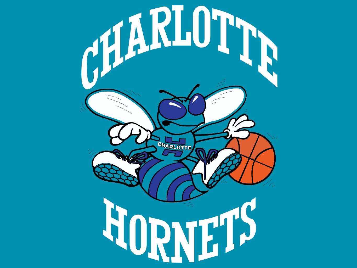 Charlotte Hornets Team Colors & Meaning | Color Psychology