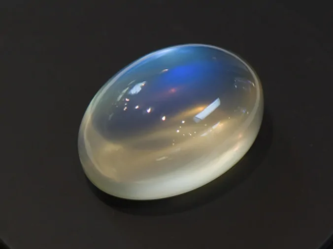 50+ Beautiful Things That are Blue in Nature